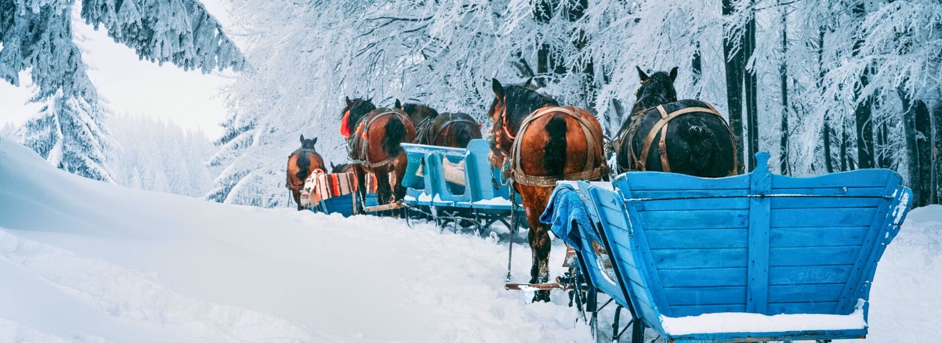 Experience These Winter Attractions on Your Ruidoso Vacation